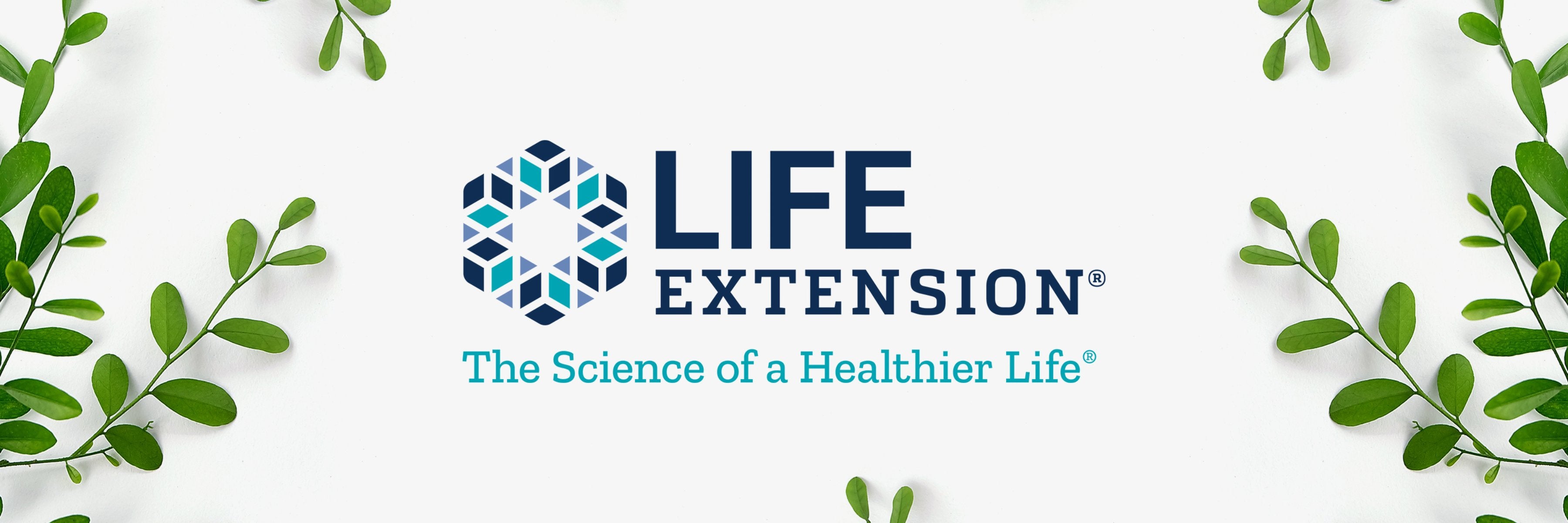 Life Extension® – Maple Herbs