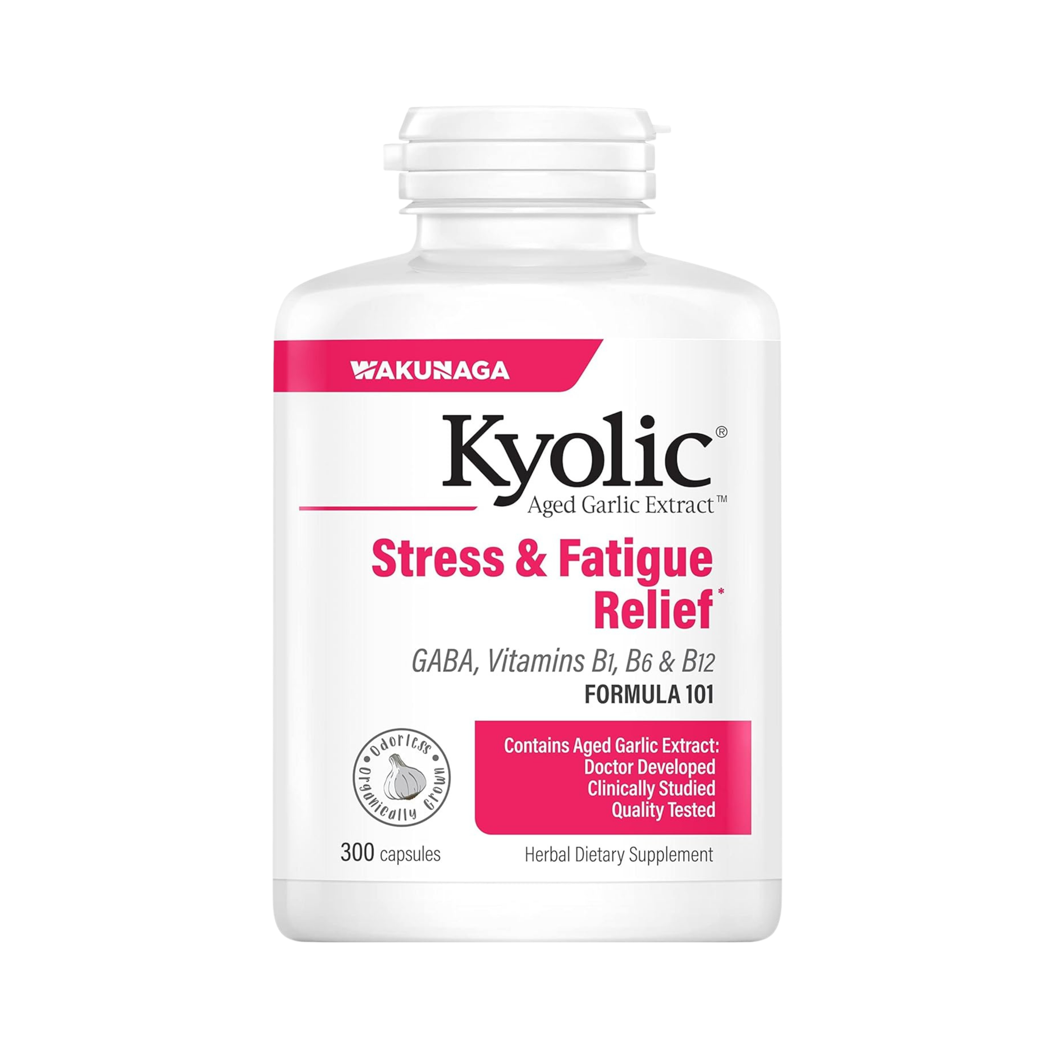 Kyolic, Aged Garlic Extract, Formula 101, 300 Capsules – Maple Herbs